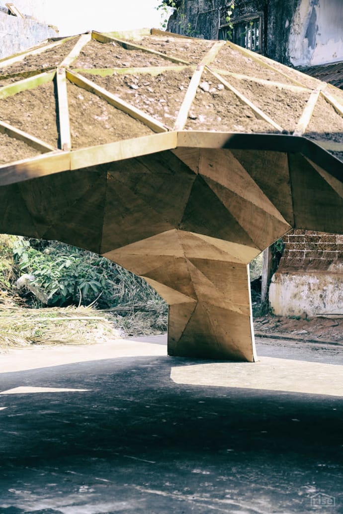 Mycelium Fungi as a Building Material