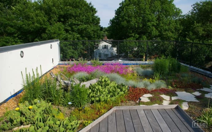 Landscaping Design with the SITES Framework