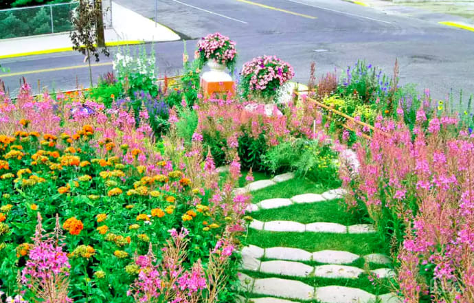 A Homeowner’s Journey to Bringing a Prairie Garden Home