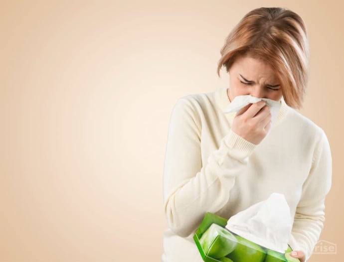 Mold Remediation: The Ultimate Guide