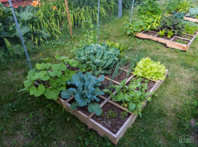 Tiny Gardens: A Comprehensive Guide