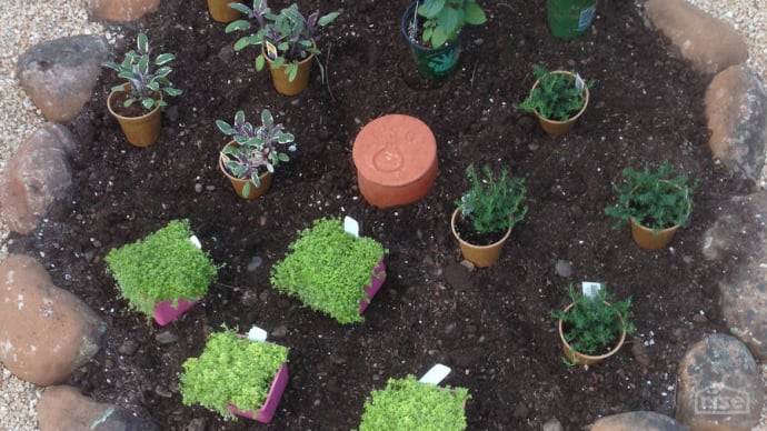 Ollas: Water Your Garden the Ancient Way