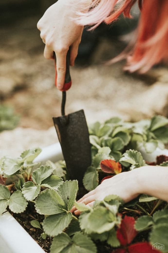 Starting a Garden? The 5 Do's and 5 Don'ts