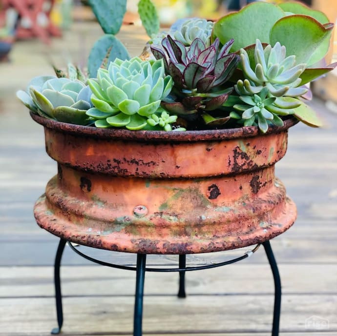 Upcycle to Create Unique Containers For Your Garden