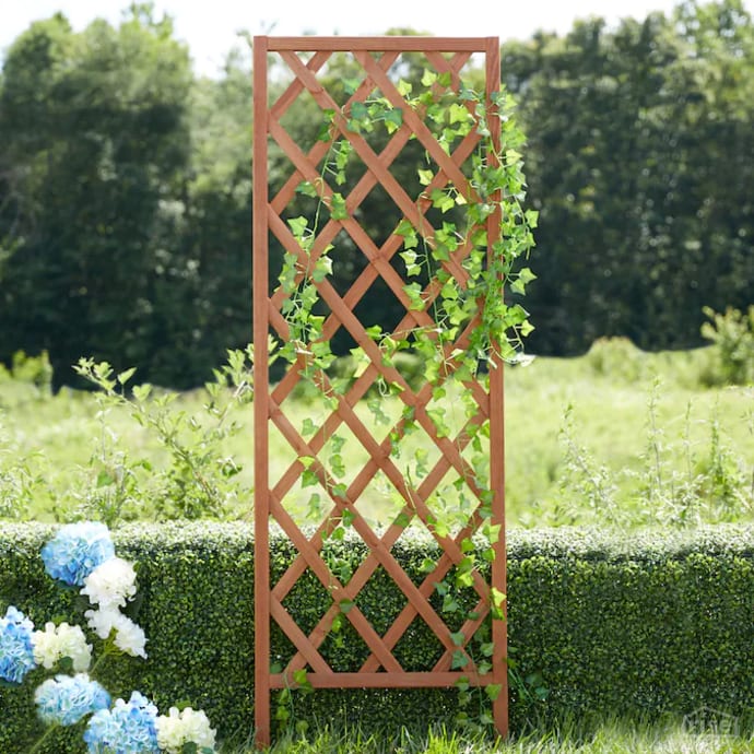 Vertical Gardening at Home: What You Need To Know