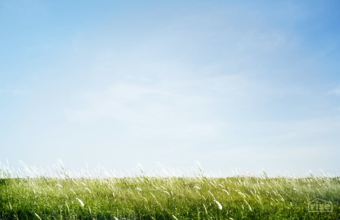 Natural Ventilation: What Is It and When Can You Use It?