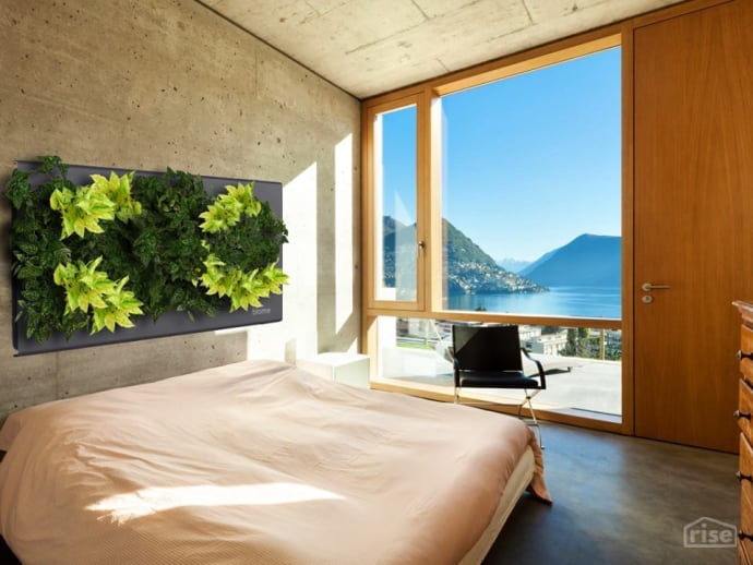 Biome Air Purification System