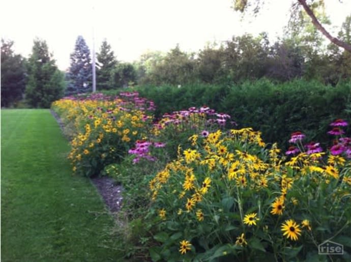 Sun Requirements For Plants: A Complete Guide
