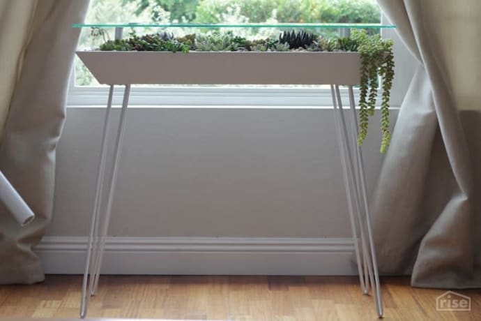 BloomingTables: Show Off Your Succulents