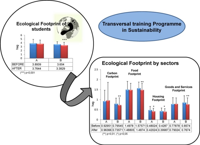 Understanding Your Ecological Footprint