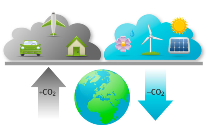 How Can Homeowners Offset Their Carbon Emissions Beyond the Home?