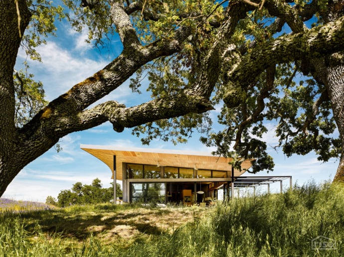 A Tour of California's Caterpillar House