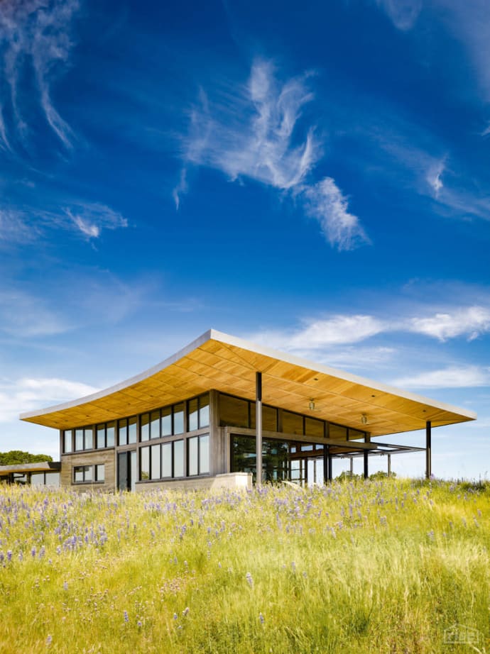 A Tour of California's Caterpillar House