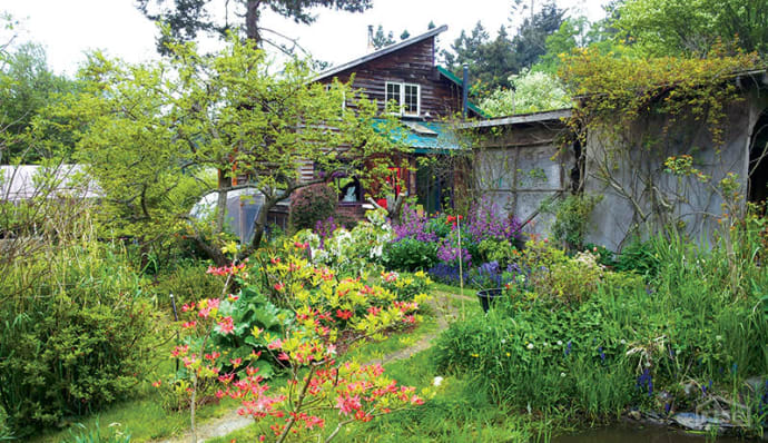 Save time and Money in Your Backyard With Permaculture