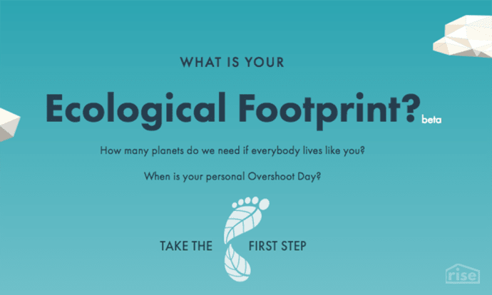 Understanding Your Ecological Footprint