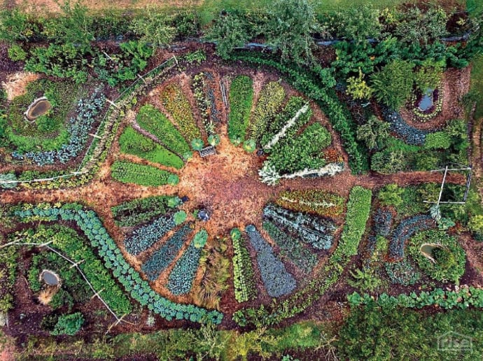 The Top Five Features for Designing Your Property Using Permaculture