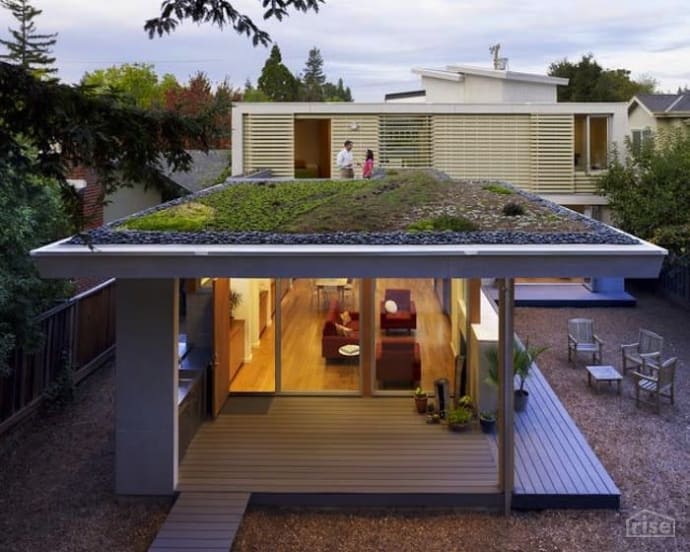 How to Maintain Your Green Roof