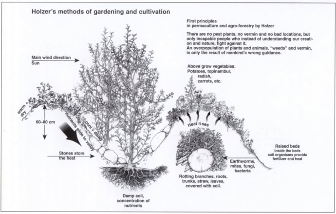 How To Make Your Own Hügelkultur