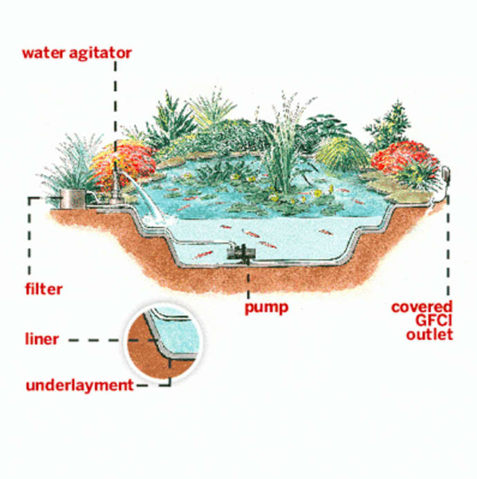 7 Ecological Benefits of Incorporating a Pond in your Yard