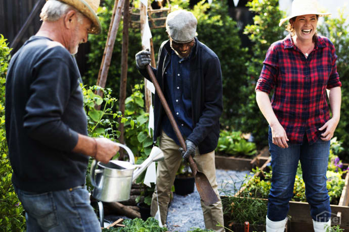 Shared Yard: What Are The Benefits?