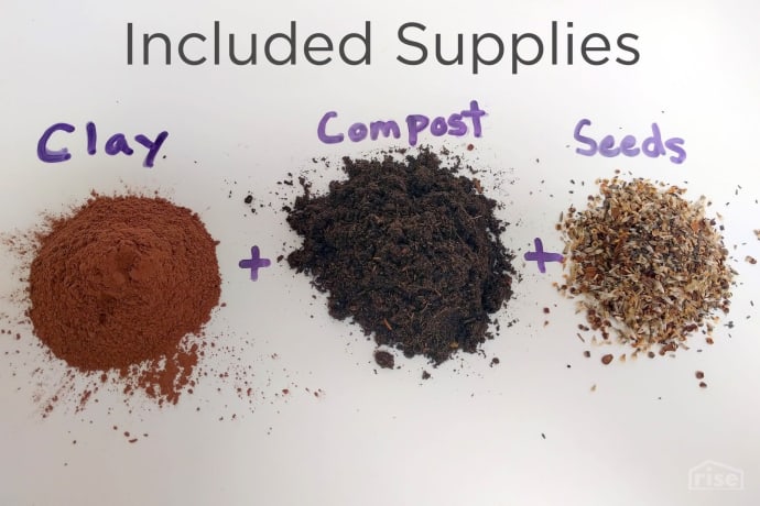 Seed Balls: A DIY Guide