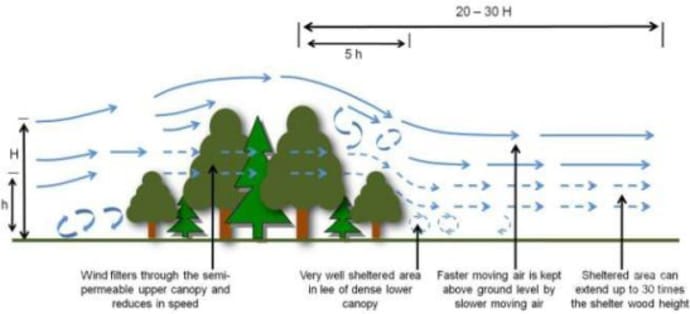 Permaculture Design Principles: Connect With the World Around You