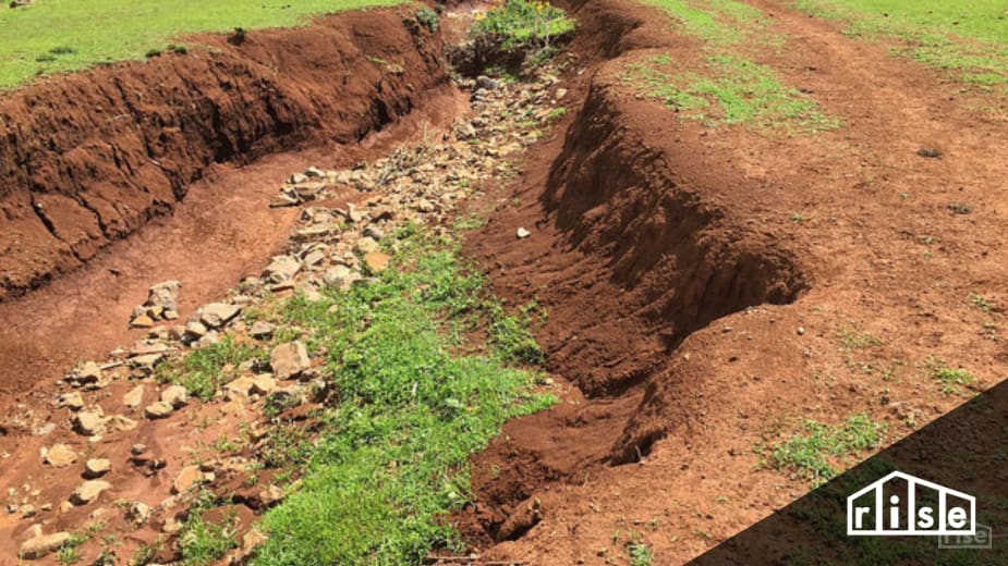 How to Prevent Earth Erosion