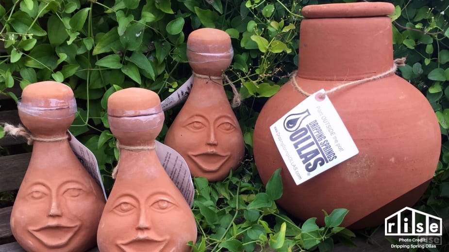 Ollas: Water Your Garden the Ancient Way