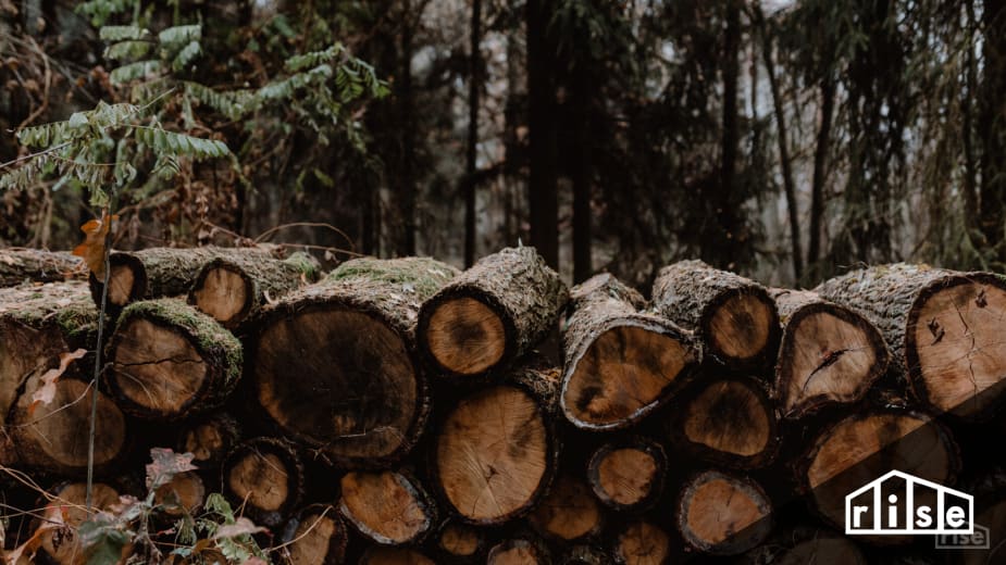 Wood Certification Programs and Sustainable Forestry