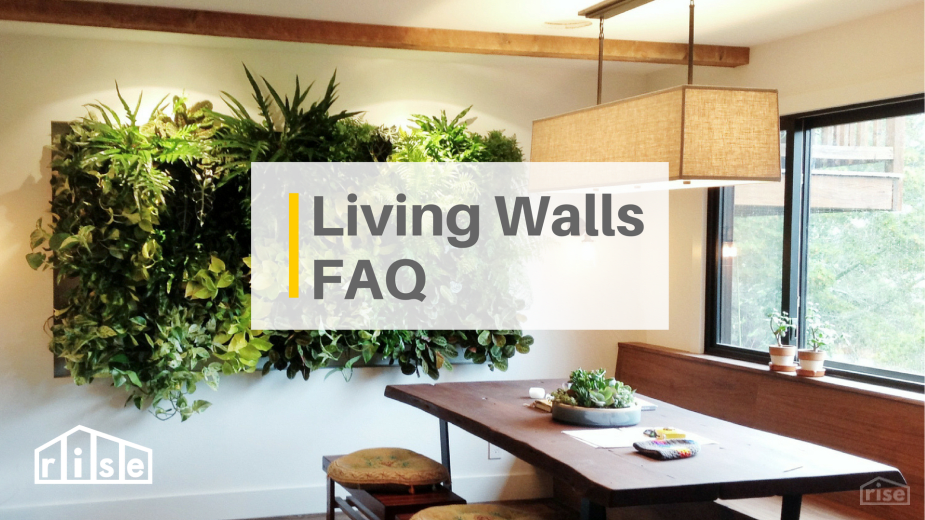Living Walls at Home: The Complete Guide