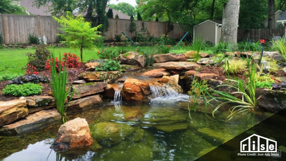 7 Ecological Benefits of Incorporating a Pond in your Yard