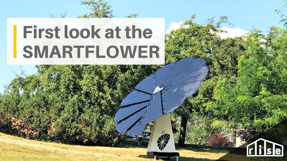 Solar Power Blossoms in your Garden