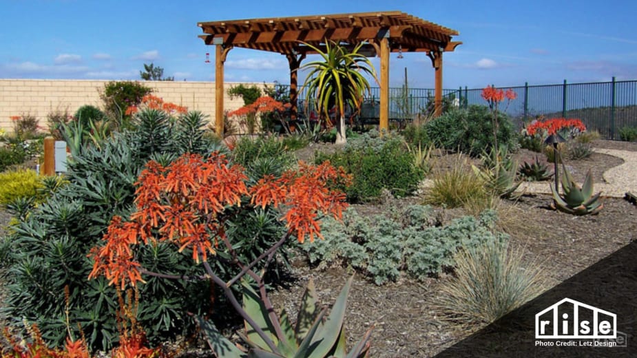The Benefits of Xeriscaping