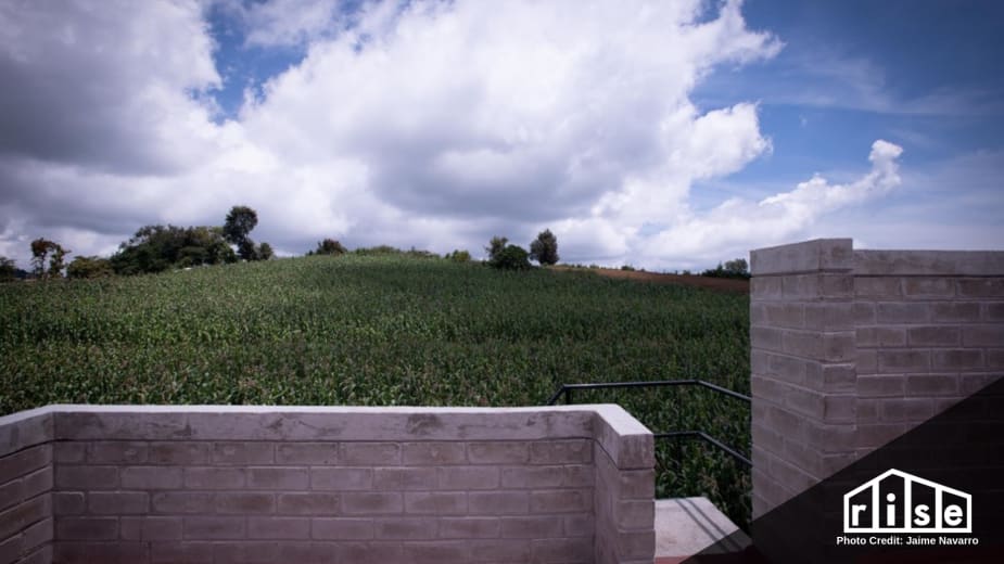 Compressed Earth Blocks for Residential Walls