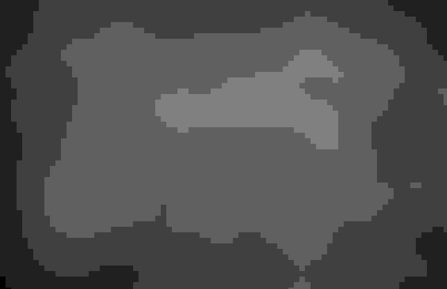 Brick Siding: What You Need to Know