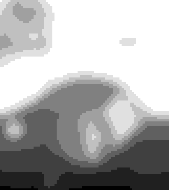 Why Your Home Needs a Root Cellar