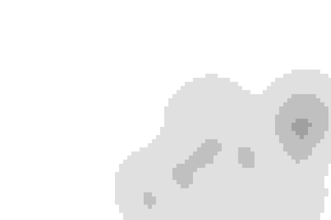 LEED v4.1 for Homes 101: Innovation and Regional Priority