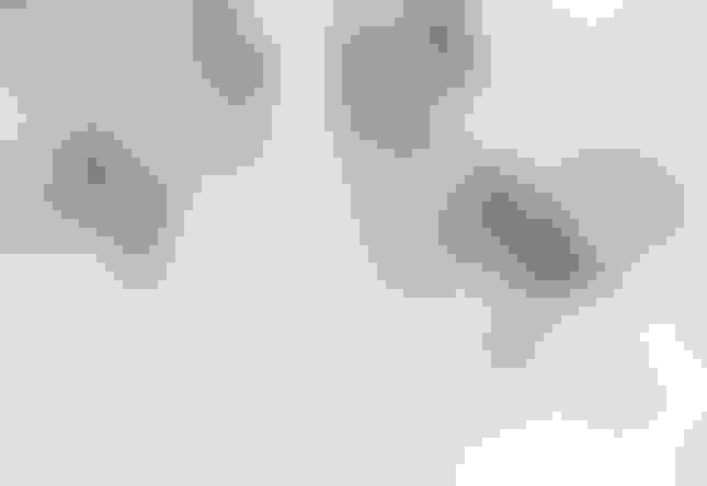 A Guide to Low and Zero-VOC Paint