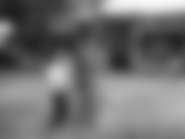 The Runges' Earth-Block Eco-Ranch