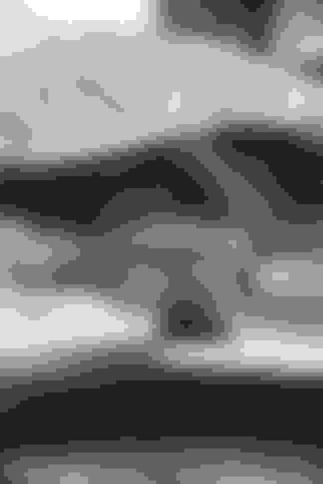 Mycelium Fungi as a Building Material