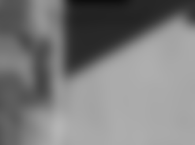 Natural Earthen and Mineral Plasters for Interior and Exterior Walls