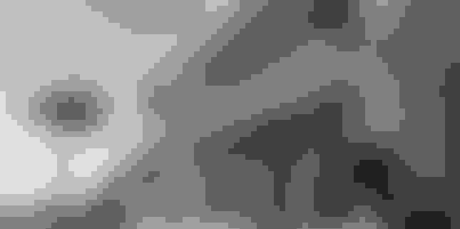 Window Shades: Everything You Need to Know