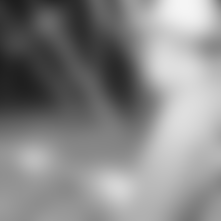 Cellulose Insulation: Sustainable and High-Performance