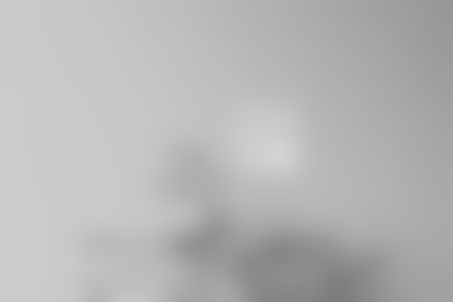 Lime-Based Paint: Add Color to your Home While Capturing Excess CO2