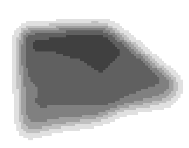 Rare and Exotic Wood For Homes. A Complete Guide