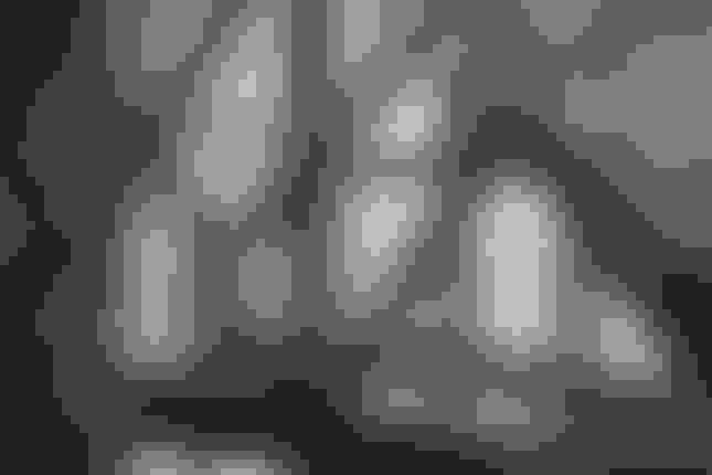 The Benefits of Roundwood Timber Framing