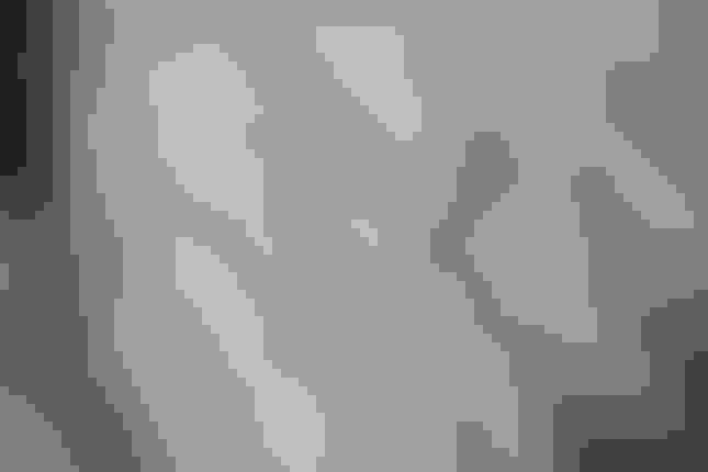 The Benefits of Roundwood Timber Framing