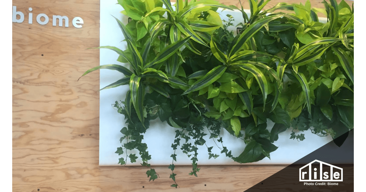 Biome Air Purification System