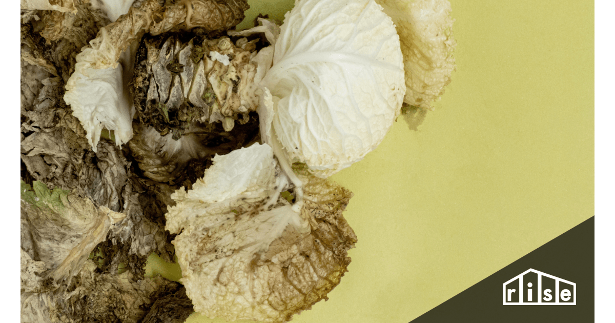 Bokashi Fermentation - A New Way to Compost