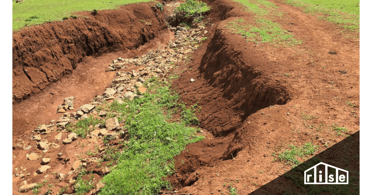 How to Prevent Earth Erosion